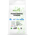 Buy Nutrixia Pushkarmool Powder-Pohkarmool /Puskara Churna/Inula ...