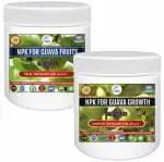 Buy Erwon NPK Kit for Guava Fruits Plant ( 200 gm fruit NPK + 200 gm growth NPK ) Online at Best ...