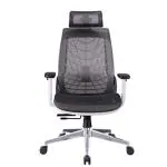 Buy Ample Seating's Spyder Imported Mesh High Back Ergonomic Chair with ...