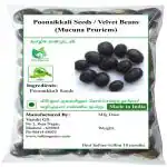 Buy Valli Organics Poonaikkali Seeds | Velvet Beans | Naikkuran 100gm ...