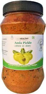 Buy Grandmother's recipe Live Healthy Homemade Anwala Pickle, 1 kg ...