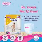 Buy Wellstep SoftTouch Diapers: Hug-Like Comfort, All Day Long Large ...