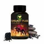 Buy FIJ AYURVEDA Shilajit/Shilajeet Plus Extract Capsule | Shilajit | Shilajjeet |- 800mg 60 ...