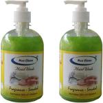Buy Nuo Clean Anti-Bacterial Hand Wash - Combo | Sandal Hand Wash Pump ...