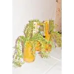 Buy WATIKA CRAFT Table Hanging Planter Pot Bamboo Planter Eco frienndly ...