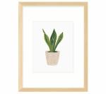Buy Colossal Art House Rectangular Brown Snake Plant Botanical Art ...