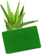 Buy Snr Gadgets Aloevera Soap Base With Oils - 1000 G Online at Best ...