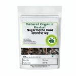 Buy NATURAL ORGANIC HERBAL Nagar Motha Root -100g -Pure-No Mixing-Helps ...