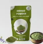 Buy DIVINE HERBS Indigo Powder Organic For Hair Pure Neel Powder For ...