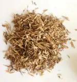 Buy Green India Stylo Hamata Grass Seed -Grass Seeds - Fodder Seeds ...