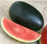 Buy Green World Drought Tolerant Tarbooj 50 Seeds Online at Best Prices ...