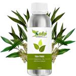 Buy Kalp Tea Tree Oil, 250 Ml Online at Best Prices in India - JioMart.