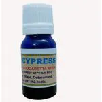 Buy KAVIN OVERSEAS CYPRESS PURE & NATURAL ESSENTIAL OIL 10 ML Online at ...