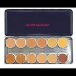 Buy AKHK SupraColor Foundation Palette 12 Color Foundation ( Delhi 1 ...