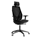 Buy HNI India Verta Ergonomic Work Home & Office Desk Chair with ...