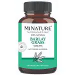 Buy MINATURE Barley Grass Tablets, 90 Tablets Online at Best Prices in ...