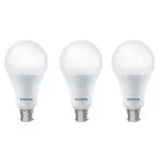 Buy Philips 16 Watt Led Bulb, Base B22,Cool Day Light, Pack Of 3 Online ...
