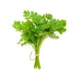 Buy Kechuaa Coriander Leaves Fresh Vegetables Seeds pack of 30 seeds ...