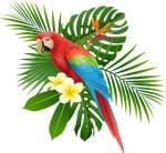 Buy god and gods Multicolor Rectangular PVC Vinyl Wall Sticker, 41 cm ...