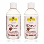 Buy Nawab's Secret Natural Rose Water, 200 ml ( Pk of 2)-400ml-Food ...