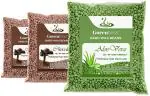 Buy Gorenbliss Aloevera And Chocolate Beans Stripless Full Body Wax ...