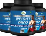 Buy Floarkart Weight Proz Weight Gain Powder _ Women & Men / Gain ...