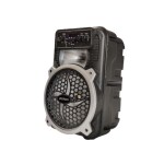 Buy Introit Karaoke Set Online at Best Prices in India - JioMart.