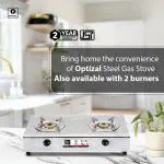 Buy OPTIZEL CARPI 2Burner Stainless Steel LPG Gas Stove I Manual ...