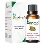 Buy KAZIMA Cinnamon Leaf Dalchini Oil For Skin Care and Hair 15 ml ...