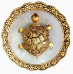 Buy Jag Mohan Yogesh Jagyash Metal Feng Shui Tortoise/Kachua On Glass ...