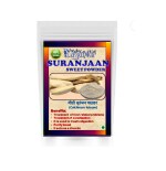 Buy YUGANTAR SURANJAAN SWEET POWDER - SURANJAN MITHI POWDER - COLCHICUM ...