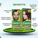 Buy CORLIN Herbal Dark Brown Permanent Hair Color Cream For Men and ...