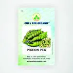 Buy Only For Organic Pigeon Pea Seeds (20 Nos) Online at Best Prices in ...