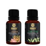 Buy Meena Elements Pure And Natural Jojoba And Tea Tree Fragrance ...
