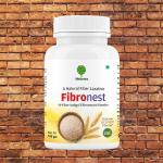 Buy NESTREEZ Fibronest Hi Fiber isabgul Supplement, Digestive health ...