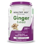 Buy HealthyHey Nutrition Ginger Extract 5% Gingerols Veg Supplement 100 ...
