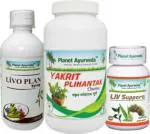 Buy Planet Ayurveda Pack Of 2 Yakrit Plihantak Churna, 200 Gm Each###Pack Of 3 Livo Plan Syrup ...