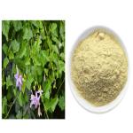 Buy Vi vethan Thoothuvalai (Thai Nightshade) Powder 100gm Online at ...
