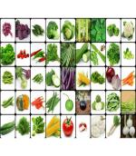 Buy Flare Seeds Vegetable Seeds Kitchen Garden Starter Kit Combo 45 Per ...