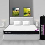 Buy NEOBEST NEO7272DDL 8 inch King High Resilience (HR) Foam Mattress ...