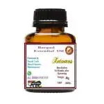 Buy Xetomos Bargad Essential Oil 30 ml Ficus benghalensis, Banyan tree ...