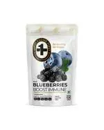Buy Wholesome First Dried Blueberries 150g (Pack of 1) Online at Best ...