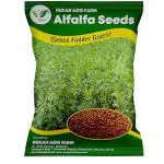 Buy Iagrifarm Alfalfa/Lucerne/Kuthirai Masal Seeds -1 Kg - Multicut - For Fodder Cultivation ...