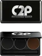 Buy C2P PROFESSIONAL MAKEUP BASIC KIT TRIO EYEBROW (3 IN 1) - 13 g ...