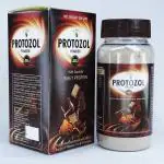 Buy DEE INDIA HERBALS Protozol With Superior Whey Protein Powder ( 200 ...
