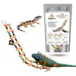 Buy Wiggleboo Pet Flexible Ladder Cage Toy For Reptiles - Iguana Gecko ...