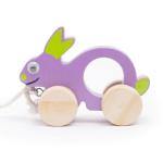 Buy OPA toys Wooden Push toy & Pull Along Toy - Rabbit Push & Pull Toys ...
