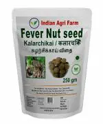 Buy i Agri Farm Fever nut Seed / 250g / Sagargota / Kalarchikai / Kantkarej / Caesalpinia ...