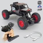 Buy KIWI KOOL 2.4 Ghz Remote Control Plastic Racing Car, 1:18 Rock ...