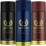 Buy Denver Caliber, Pride and Honour Combo Deodorant Spray - For Men ...